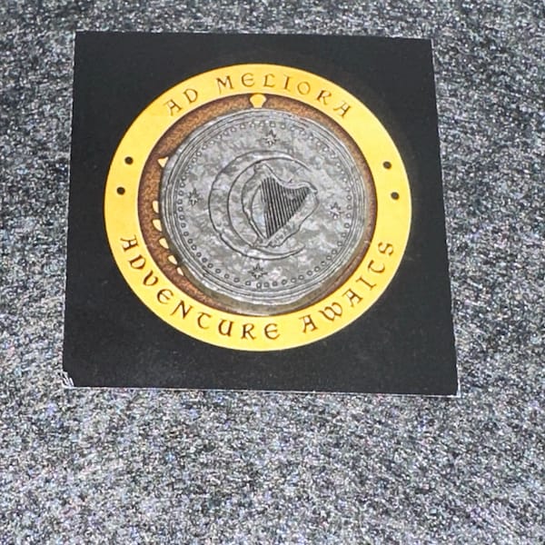 DND DRUID COIN, Large Dungeons and Dragons Charachter Coin D20 Rpg - Etsy