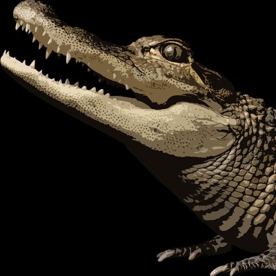 Even Jesus Had A Fish Story Christian T Shirt Jesus T Shirt Funny Jesus ...