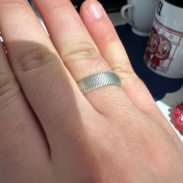 Snake Skin Band Ring for Men in 925 Silver, Unique Men Jewelry ...