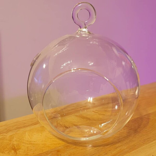 Mini Orb Terrarium Kit - Etsy