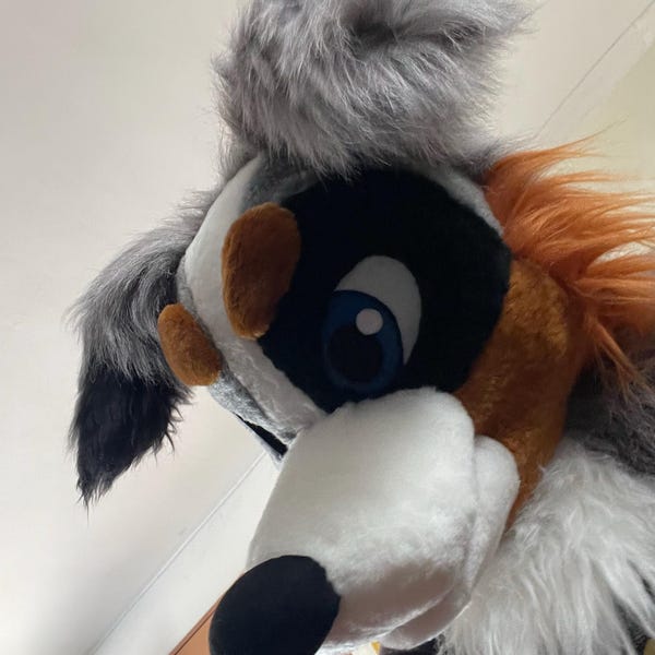 Wolf Fursuit Head and Hand Paws XL Size Made to Order, Grey Teal ...