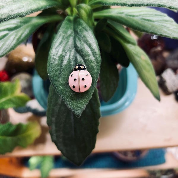 Cloud Shaped Rainbow Window Clings. Prism and Light Bending. Unique ...