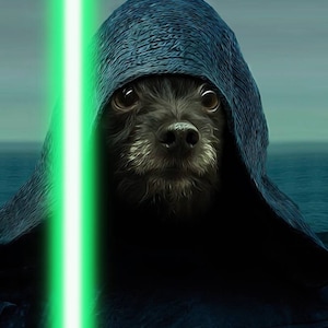 Custom Star Wars Pet Portrait, Luke Skywalker Dog Portrait, Star Wars ...