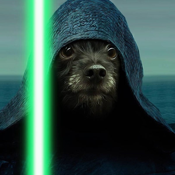 Custom Star Wars Pet Portrait, Luke Skywalker Dog Portrait, Star Wars ...