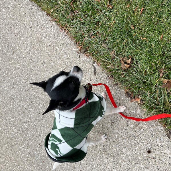 University of Michigan Dog Coat - Etsy