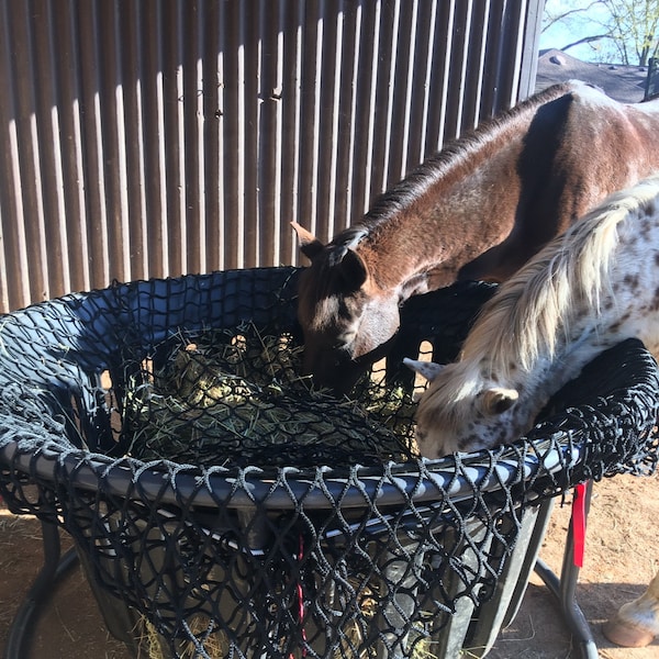 Slow Feed Hay Net for Over Your Hay Basket, Easy Fill. Soft Woven ...