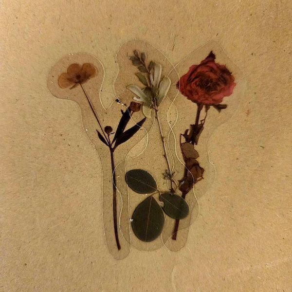 Retro Film Frame Sticker, Vintage Camera Film Roll Sticker, Film Strip ...