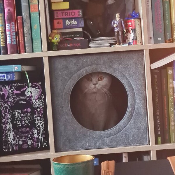 Kallax Insert Cat Bed With Two Entrances, Cat Beds and Caves, IKEA Kallax Cat House, Cat Bed Box ...