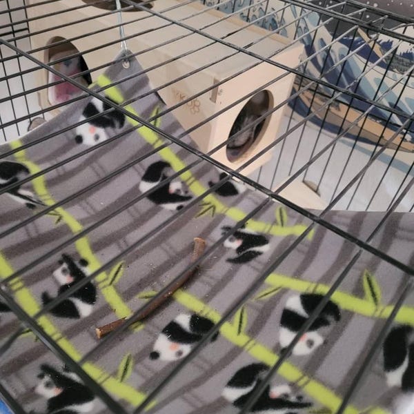 Petal Piñata – Chinchilla / Rat / Degu / Rabbit / Guinea Pig / Hamster ...