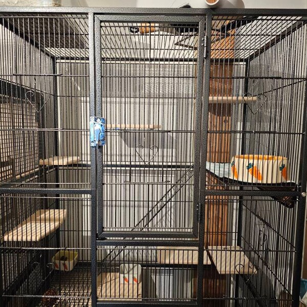 Set of 2 Aviary, Nesting Box, Brood Cave, Bird Breeding Made of Screen ...