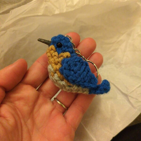 Red-bellied Woodpecker Written Crochet Pattern | Realistic Garden Bird ...