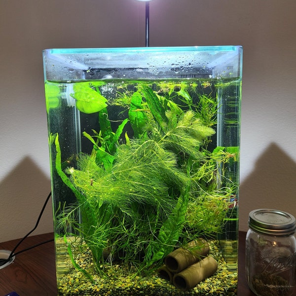 Led Aquarium Light HIRO Aquatics Full Spectrum 15W COB LED Aquarium ...
