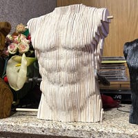 Woman Torso Sculpture Sliced Vector Template 25cm, Female Torso ...