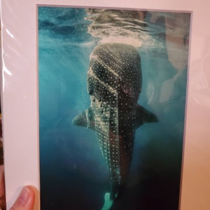 Hawaiian Big Wave Surf Fine Art Print Titled - Etsy