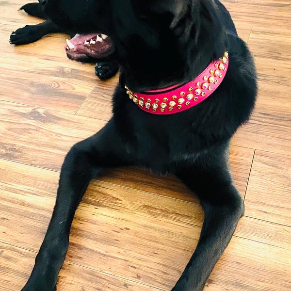 Luxury Big Dog Collar With Spikes 3 Inch Width - Etsy