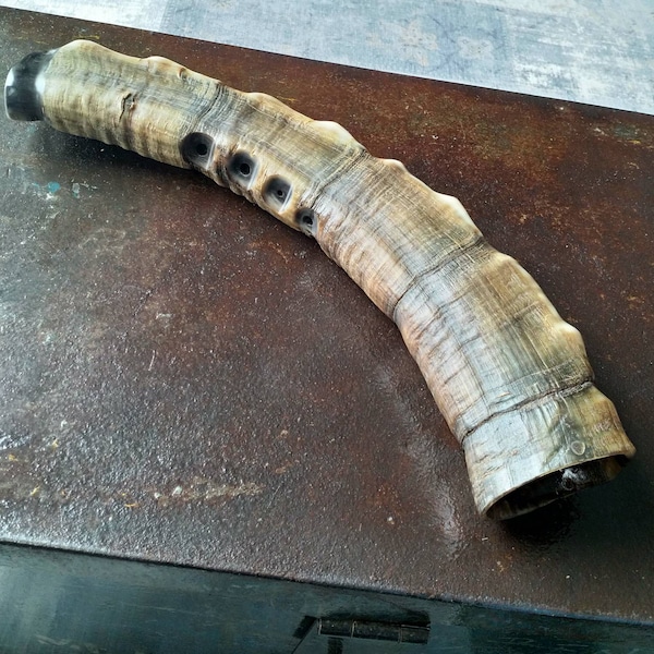 Bukkehorn an Ethnic Musical Instrument. Note; G#4. Original Handmade ...
