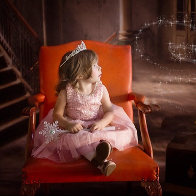 25 Magic Shine Fairy Effects, Photoshop Overlays, Sparkle Stardust ...