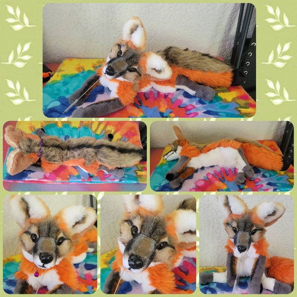 Made to Order NOT in Stock Life-size Common Genet Plush Made of Luxury ...