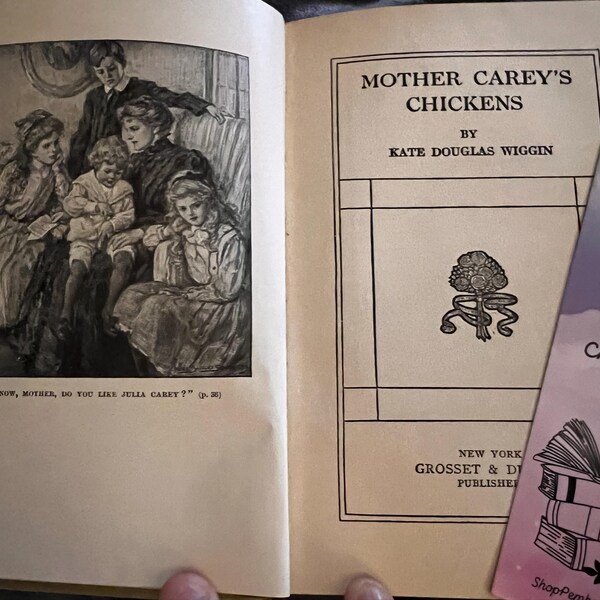 Mini Illustrated Classics, Abridged Books for Children, Classics for ...