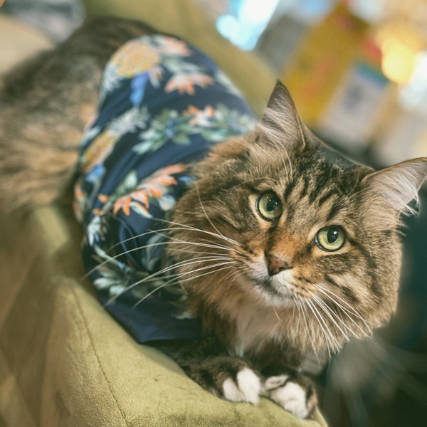 Summertime Aloha Shirt for Cats - Etsy