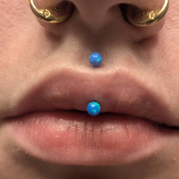 Unique Bone Shape Septum Ring Nose Ring 16G Medical Steel Hinge Nose ...