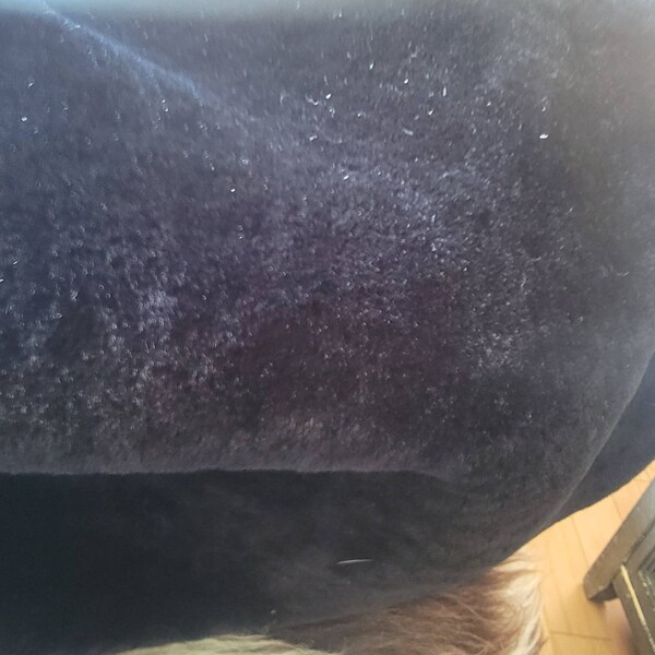 Springbok Skin Natural Springbok Skin XXL Size Tanned Springbok Hide ...