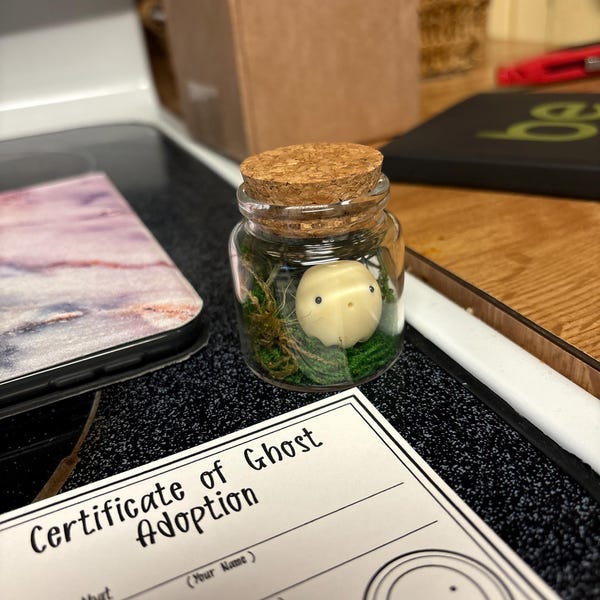 Adopt a Mini Rock Desk Pet - Etsy