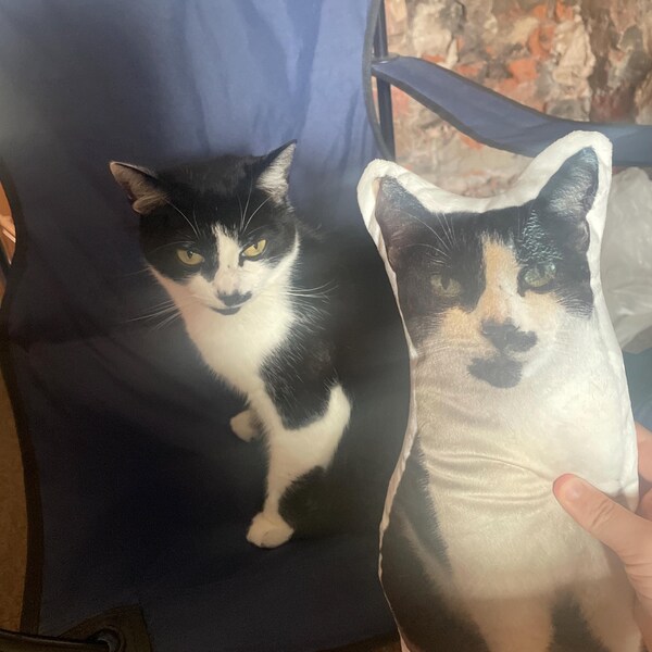 Custom Cat-shaped Throw Pillow, Personalized Cat Cushion, Custom Pet ...