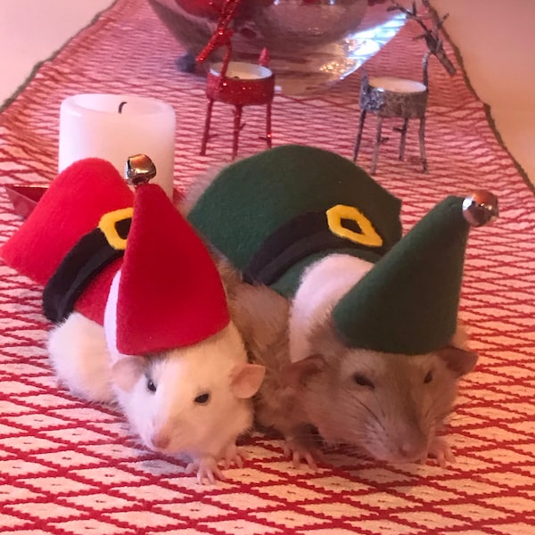 Elf Costume, Pet Costume for Rats, Santa Helper Rat - Available in Red ...