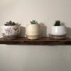 Baubuche Table Top // Counter Top // Desk Top // Bar Top// Coffee ...