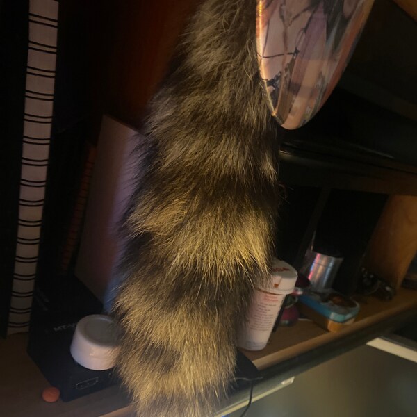 Raccoon Tails | Raccoon Tail Keychain | Taxidermy Keychain | Raccoon ...