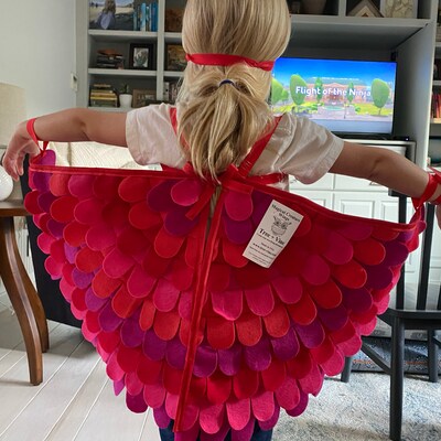 Pink and Red Owl Costume Set / Wings and Mask / Fly Like Your Favorite ...