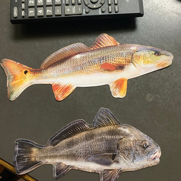 Redfish Decal, Redfish Sticker, Redfish, Red Drum - Etsy
