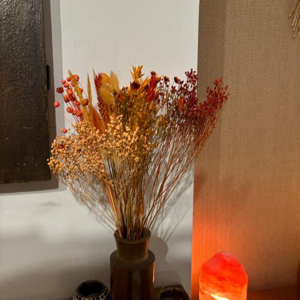 Dried Conkers Conkers in Shells ,dried Natural Conkers Nuts,fall ...