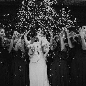 Crisp White Biodegradable Confetti Party Confetti Perfect for Classic ...