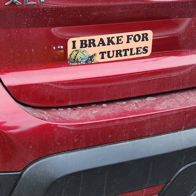 Become Moss Vinyl Decal - Etsy