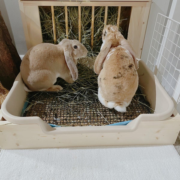 Large EZ Entry 2.0 - Hop Box: Rabbit Bunny Easy Entry Hay Feeder and ...