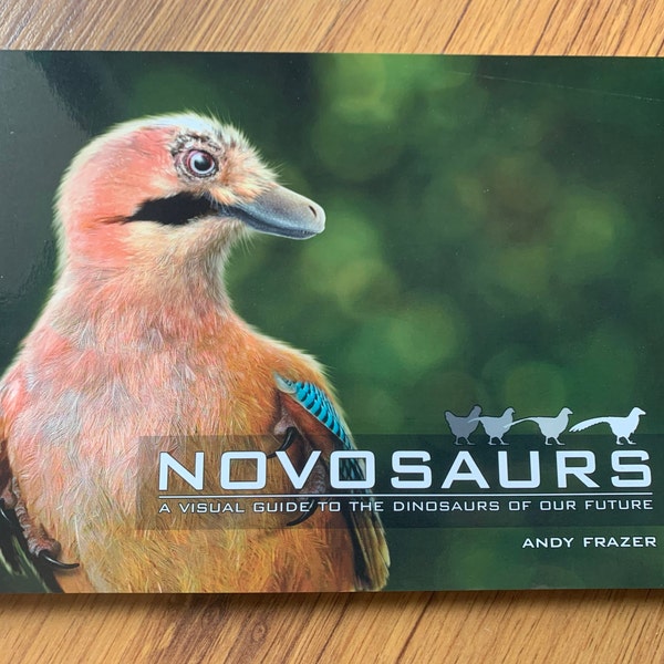 NOVOSAURS Book - Etsy UK