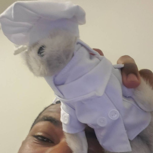 Vintage US Forest Service Backpack, the Northface Backpack, USFS Region ...