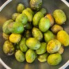 Fresh Dwarf June Plums 5 Lbs- Always Freshly Picked - ** We Are ...