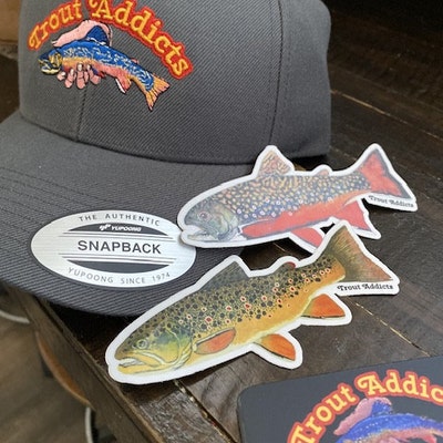 Trout Sticker Brook Trout Sticker Fishing Sticker Trout - Etsy