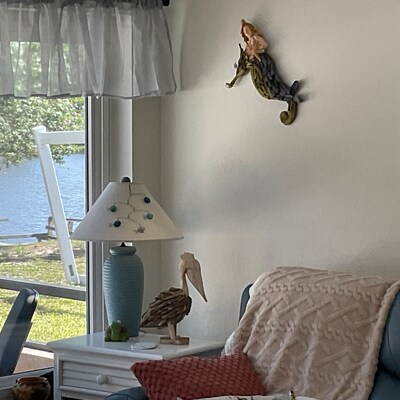 Starburst Carrier Shell stellaria Solaris for Coastal Home Decor ...