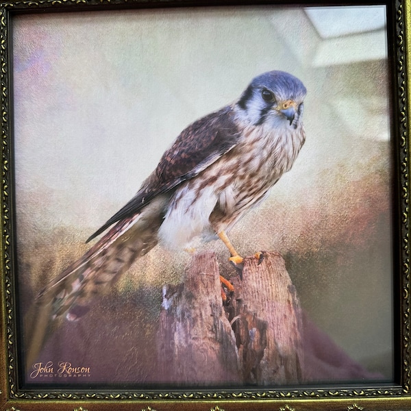 Metallic Ornate Lime Green Picture Frame- Victorian Gothic Frame- A5 A4 ...