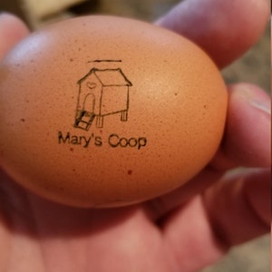 Sello de huevo personalizado sello para huevos amante del | Etsy