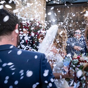 Crisp White Biodegradable Confetti Party Confetti Perfect for Classic ...