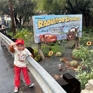 RUSTEZE Custom Trucker Adjustable Cap Disney Cars Hat Red Hat Lightning ...