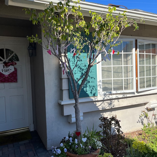 Wood Pedestal Risers, Small Plant Risers, Walnut Stained Risers , Black ...