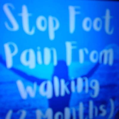 Money Tree 12 Months Spirit Pact - Etsy