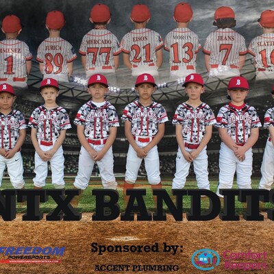 Baseball Stadium, Team, Digital Background, Digital Backdrop, Digital ...