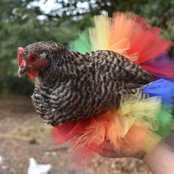 Rainbow Chicken Tutu - Etsy